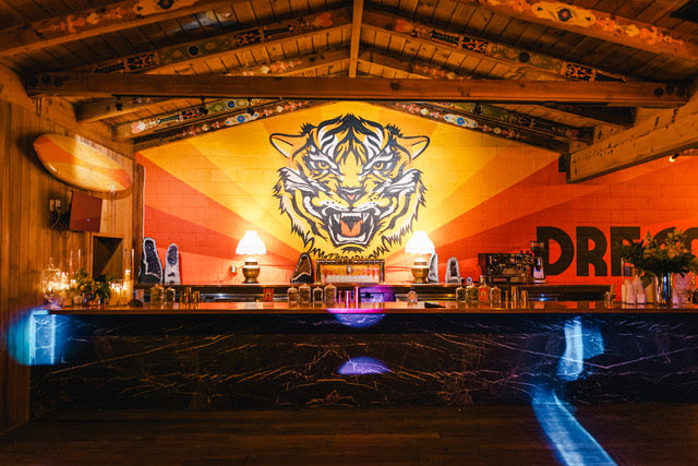 Aviator Nation Dreamland